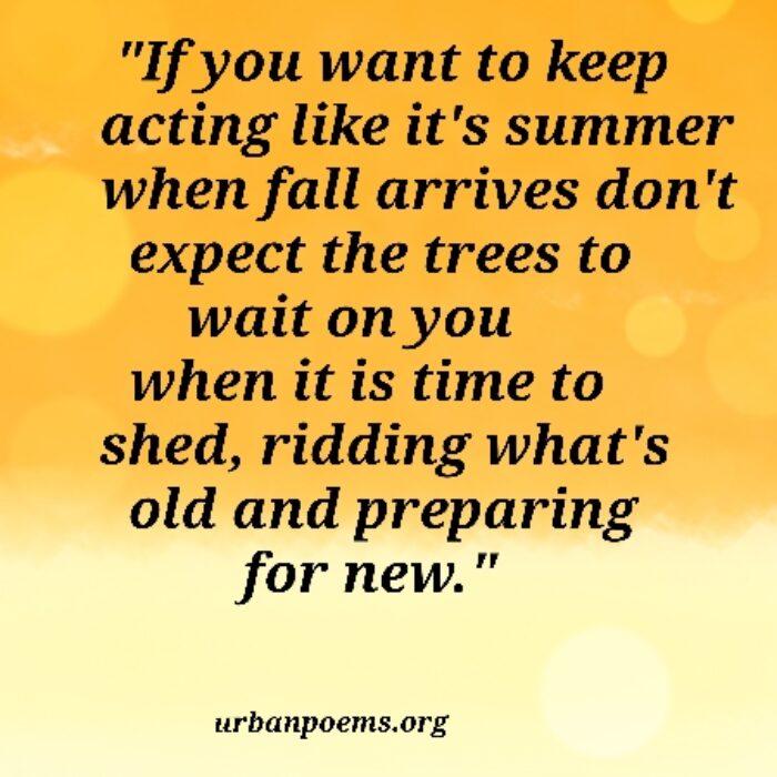 Preparation - Urban Poems